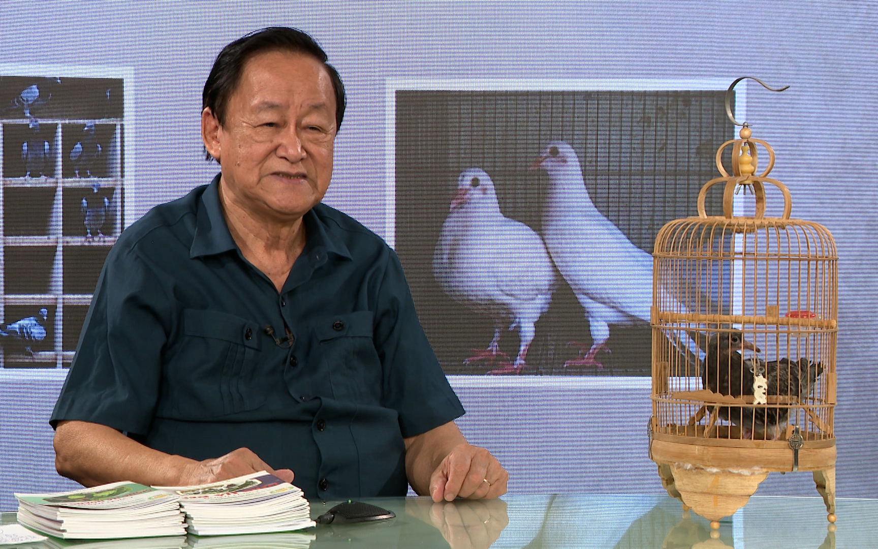 GÓC CHUYÊN GIA: Một số lưu ý của về kỹ thuật làm chuồng nuôi chim bồ ...